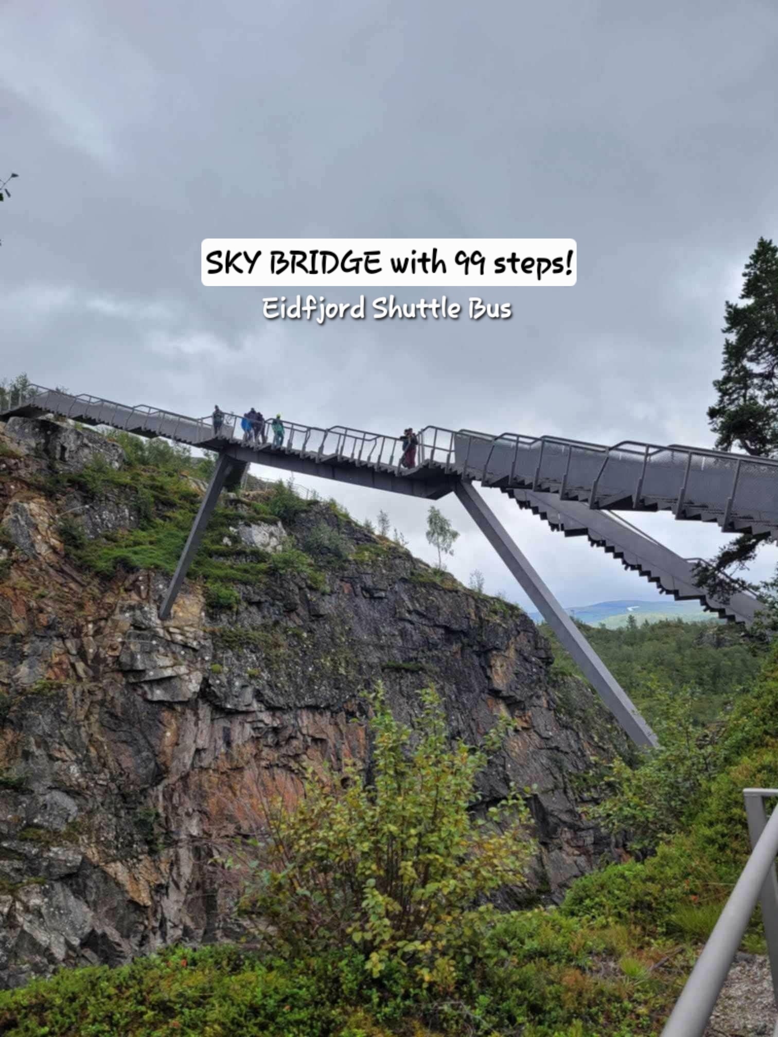 Shuttle Bus | Vøringsfossen Sightseeing